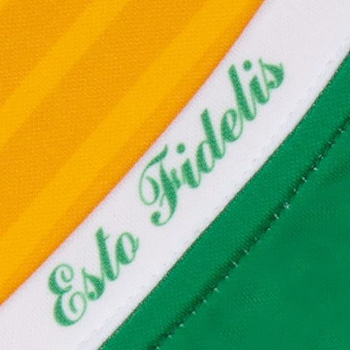 Offaly GAA 2020 Home Jersey